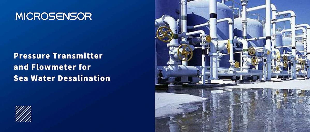 Pressure Transmitter and Flowmeter for Sea Water Desalination Project